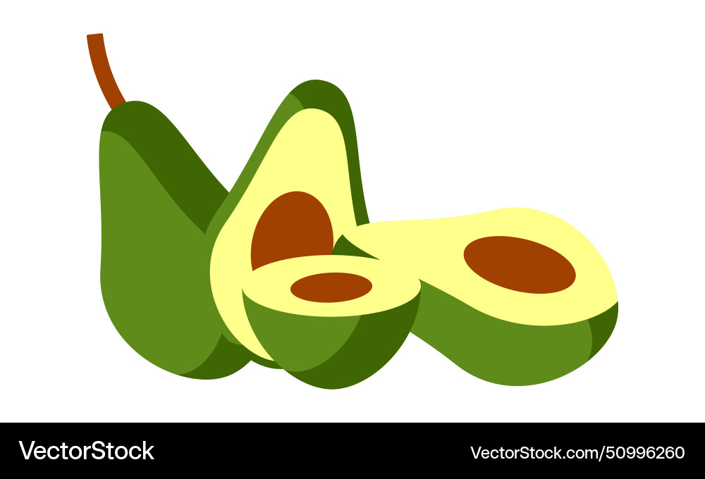 Avocado design and bundle Royalty Free Vector Image