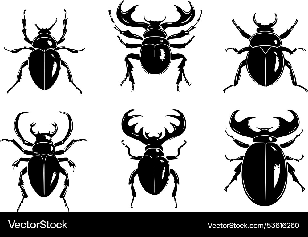 Set bugs Royalty Free Vector Image - VectorStock