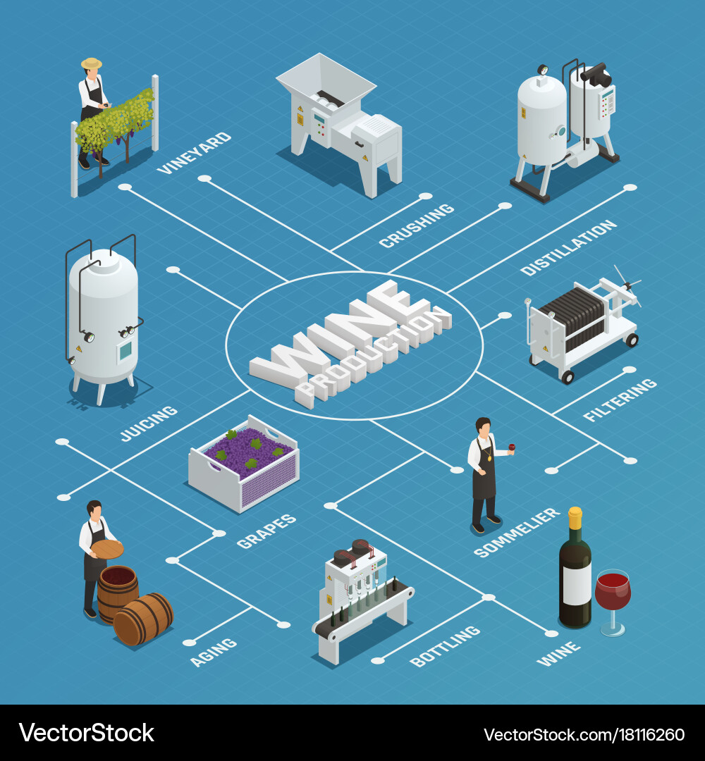 Wine production isometric flowchart Royalty Free Vector