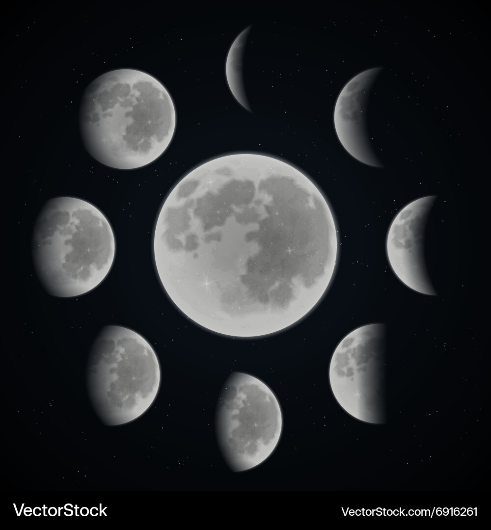 Moon phase set Royalty Free Vector Image - VectorStock