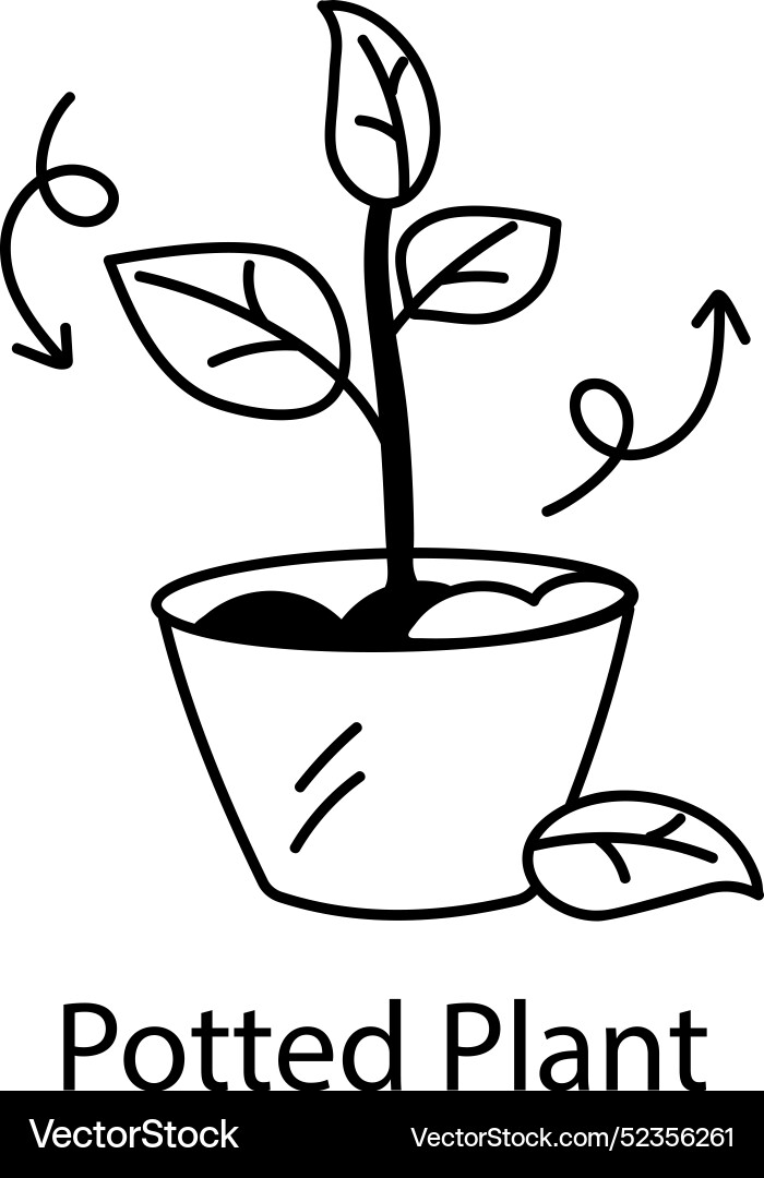 Potted plant Royalty Free Vector Image - VectorStock