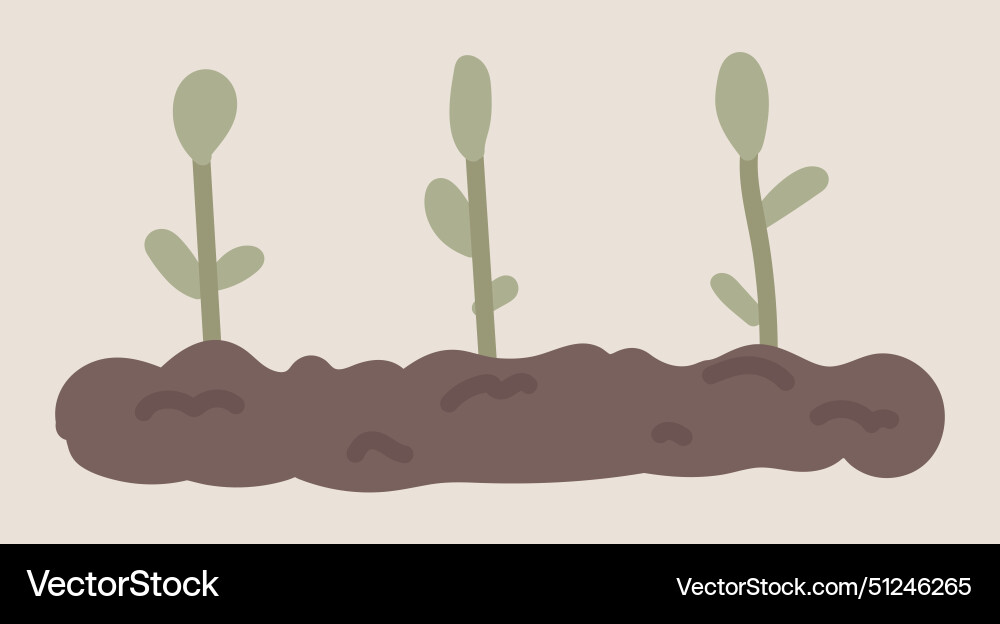 Seedling growing in garden soil flat design Vector Image