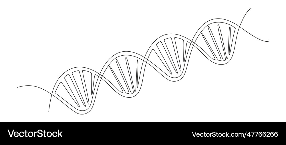 One continuous line drawing of helix dna Vector Image
