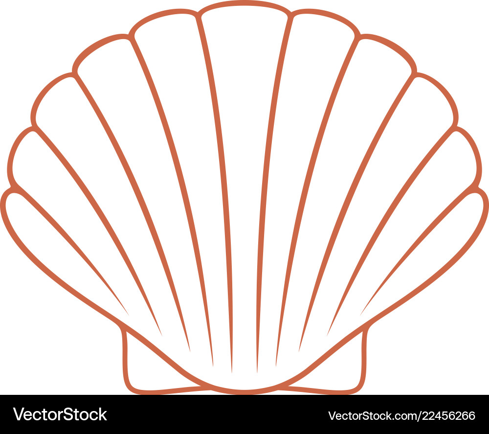 Scallop Shell Silhouette 10,100+ Scallop Shell Drawing Stock