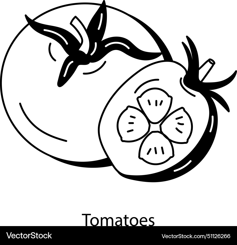 Tomatoes Royalty Free Vector Image - VectorStock