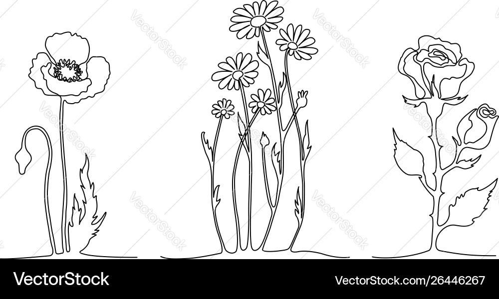 Set continuous line flowers Royalty Free Vector Image Set continuous line flowers Royalty Free Vector Image