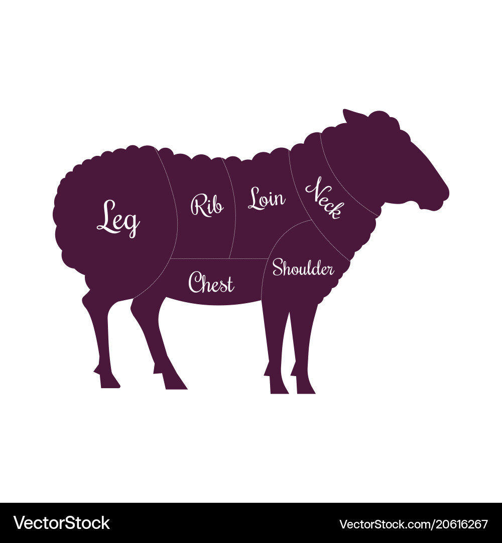 Sheep mutton meat cuts butcher icon Royalty Free Vector