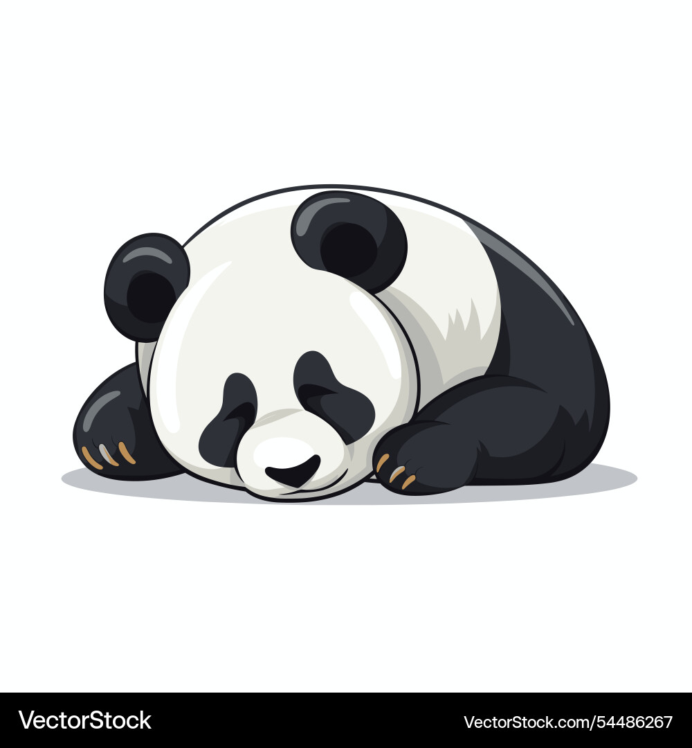 Sleeping panda rests peacefully on the ground Vector Image