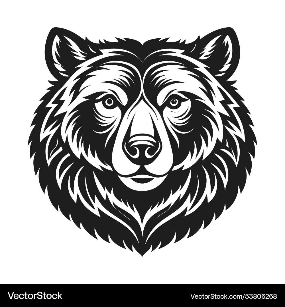 Bear face Royalty Free Vector Image - VectorStock