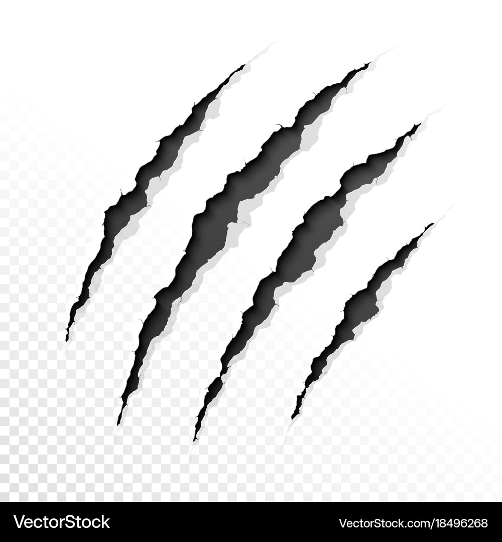 Claws scratches on transparent background Vector Image