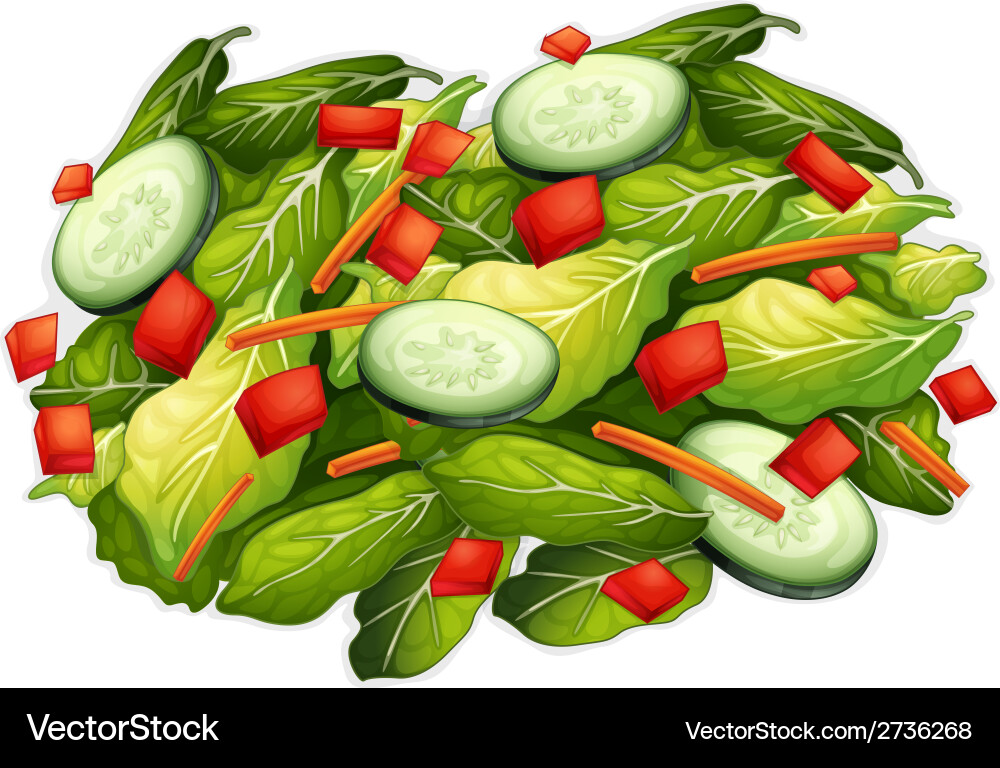 Salad Royalty Free Vector Image - VectorStock