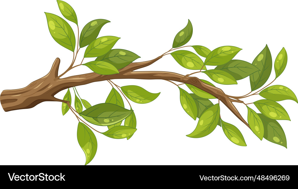 Cartoon Tree Branch with Green Leaves Royalty Free Vector