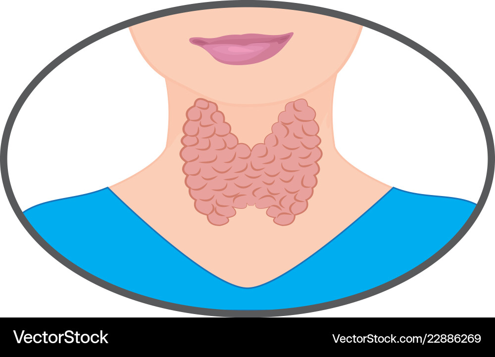 Thyroid Vector Images (over 3,900)