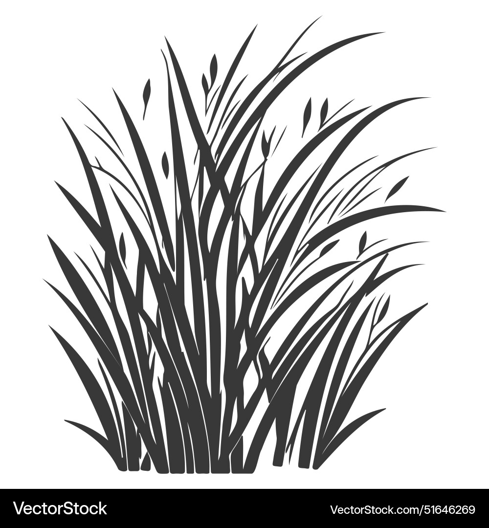 Grass garden grey Royalty Free Vector Image - VectorStock