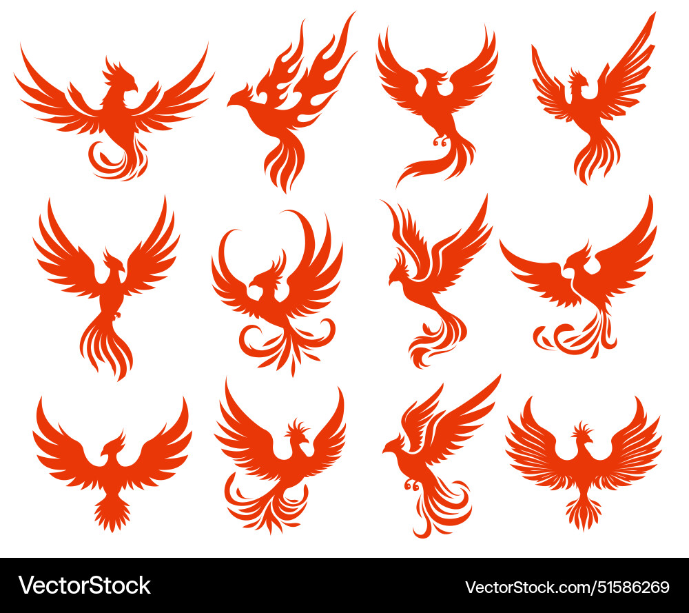 Phoenix Mascot Logo Vector Images (over 5,800)
