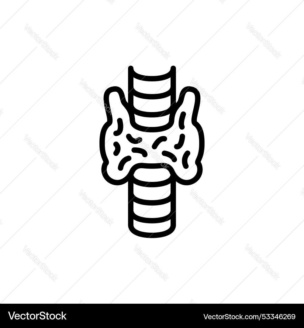 Thyroid line icon isolated on white background Vector Image
