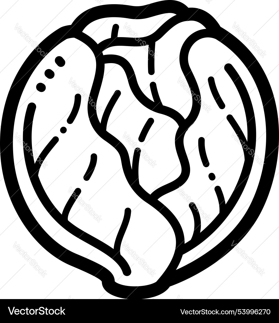 Brussels sprouts - vegetables icons Royalty Free Vector