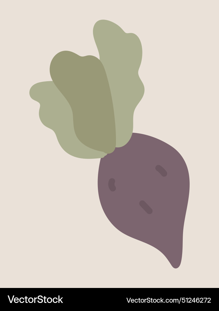 Beetroot in flat design natural beet vegetable Vector Image