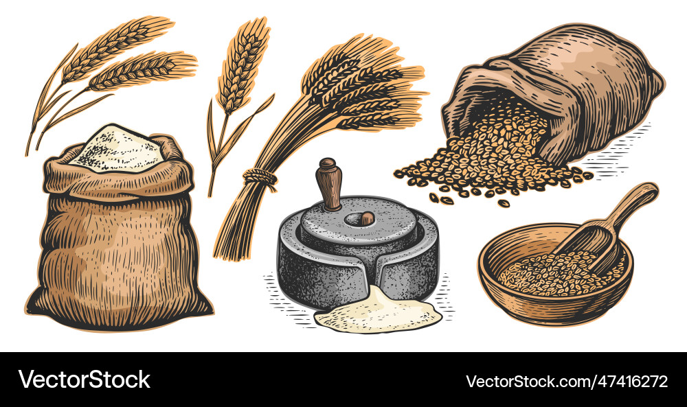 Bread making concept collection Royalty Free Vector Image