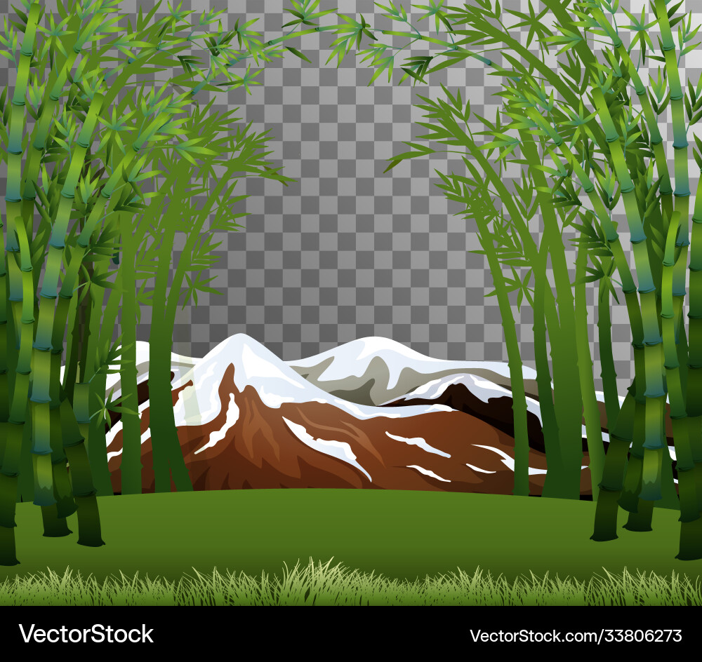 Bamboo forest scene with transparent background Vector Image