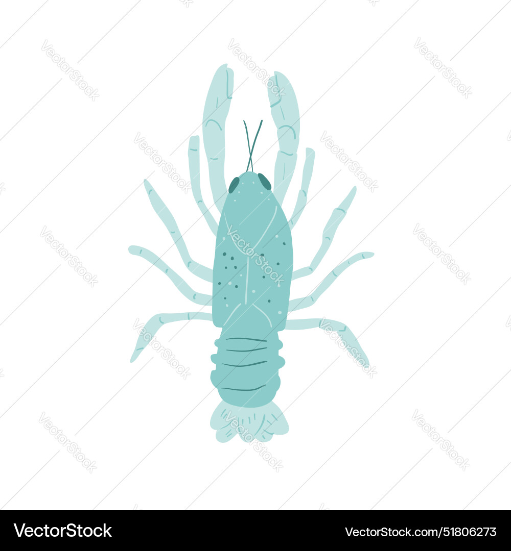 Crawfish isolated on white background marine Vector Image