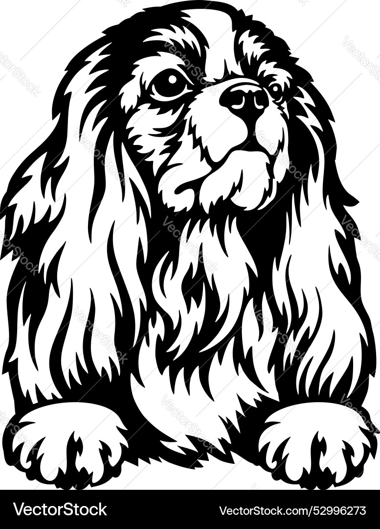 Peeking spaniel - dog lover owner gift cut Vector Image
