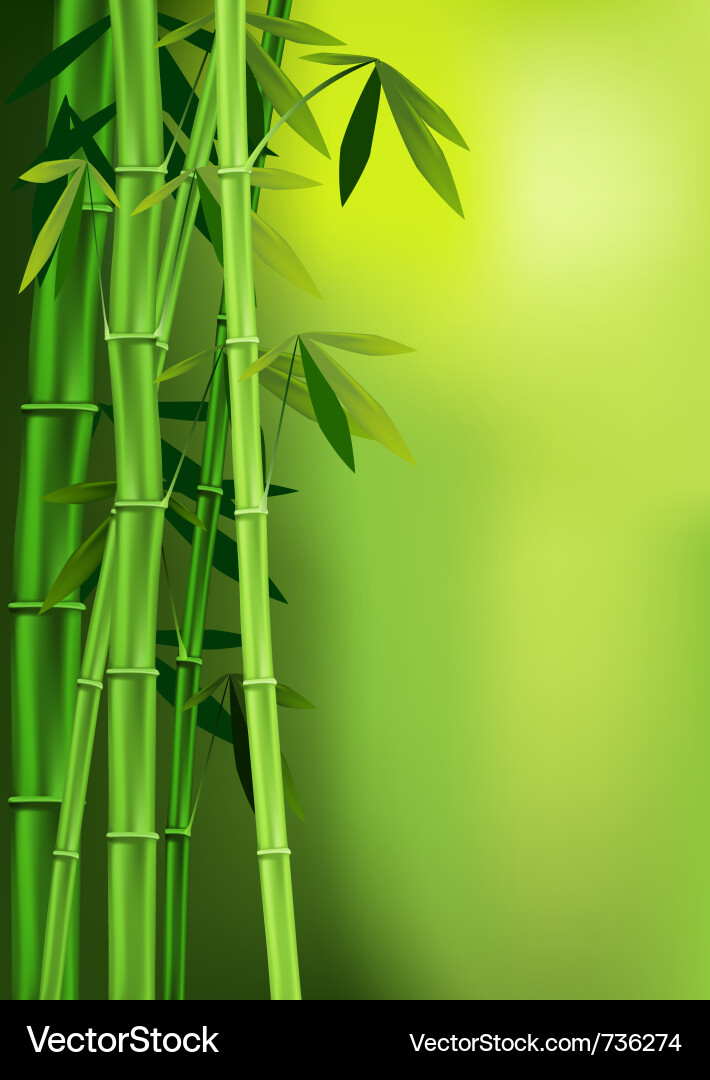 Bamboo Royalty Free Vector Image - VectorStock