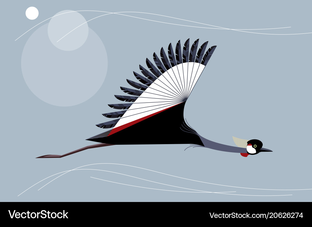 Crowned crane flies Royalty Free Vector Image - VectorStock
