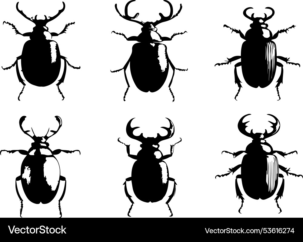 Set bugs Royalty Free Vector Image - VectorStock