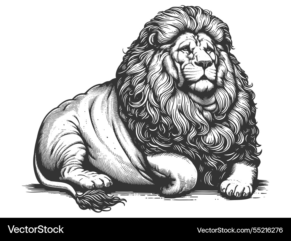 Fat Lion Vector Images (over 210)