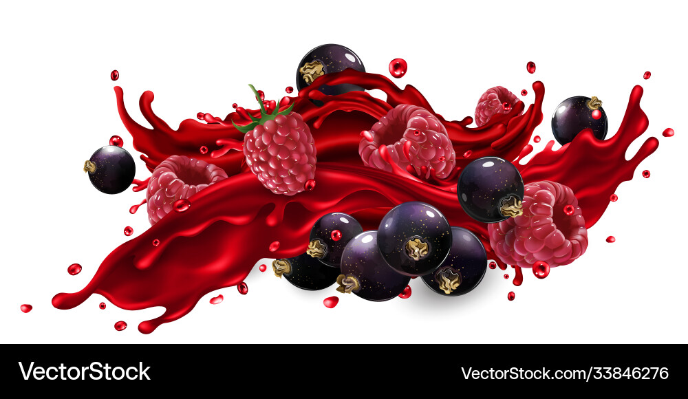 Splash fruit juice with raspberry and black Vector Image