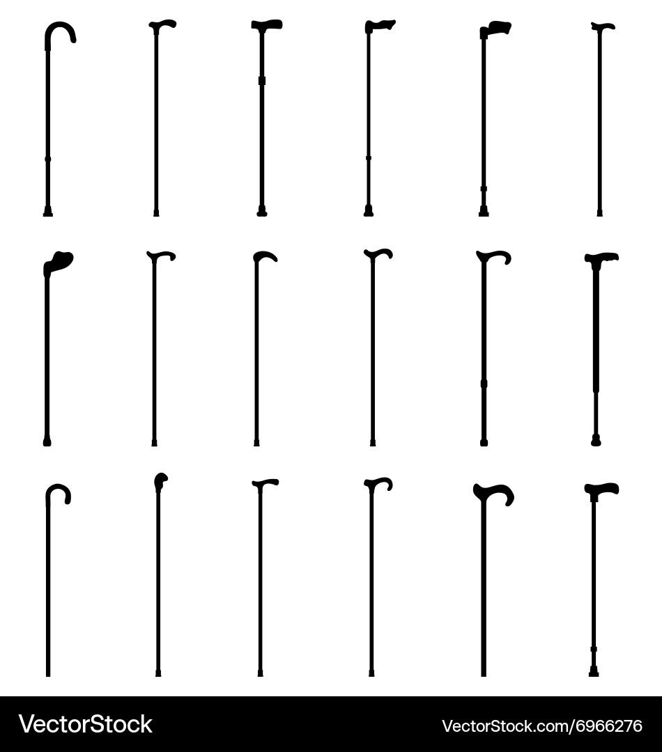 Walking sticks Royalty Free Vector Image - VectorStock