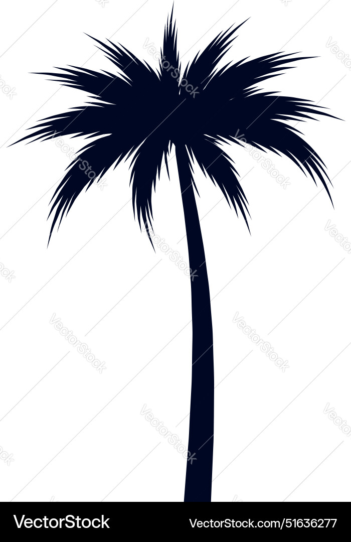 Tropical palm tree Royalty Free Vector Image - VectorStock