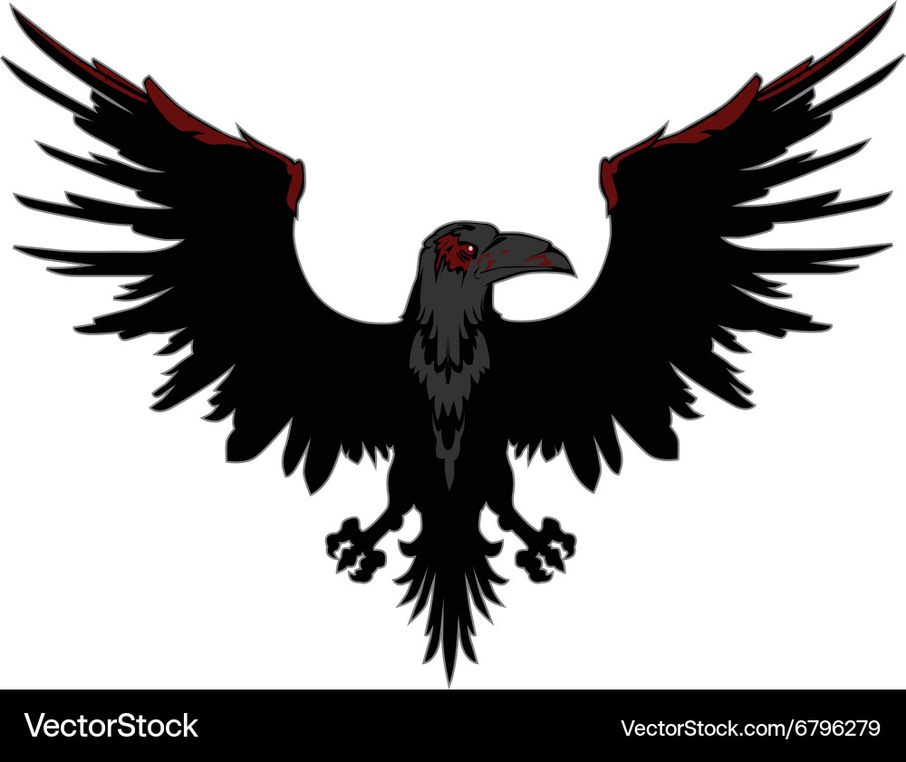 Angry dark raven Royalty Free Vector Image - VectorStock