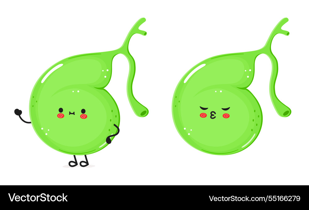 Gallbladder character hand drawn cartoon Vector Image