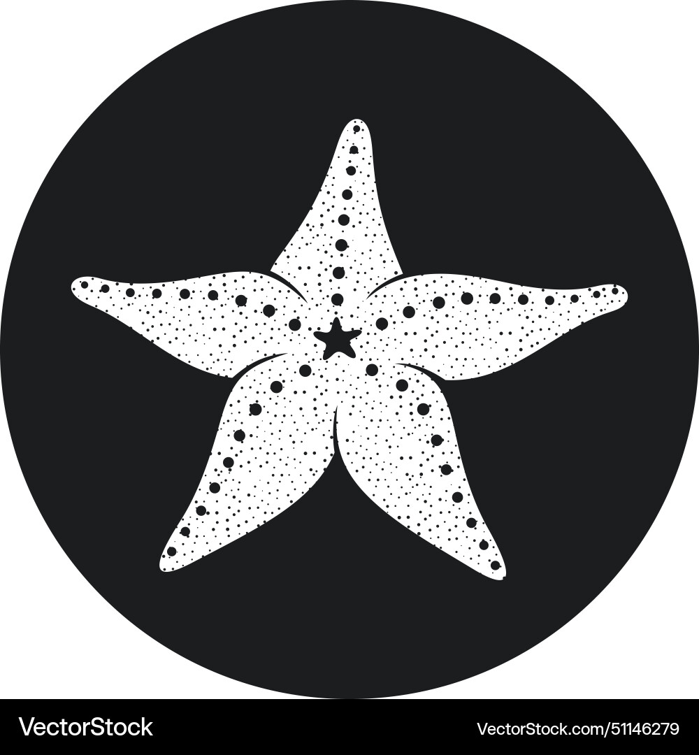 Starfish Royalty Free Vector Image - VectorStock