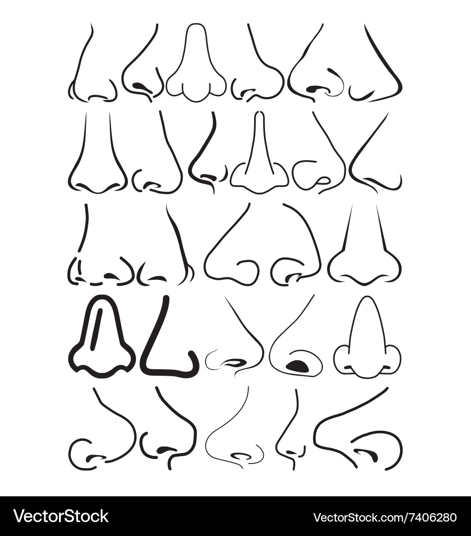 Cute Cartoon Noses Royalty Free Vector Image - VectorStock