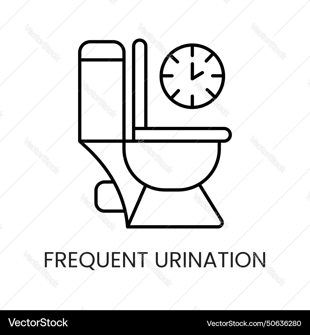 Diabetes symptom frequent urination line Vector Image