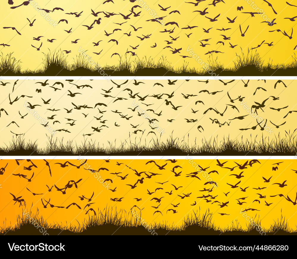 Set of horizontal banners with flock birds Vector Image