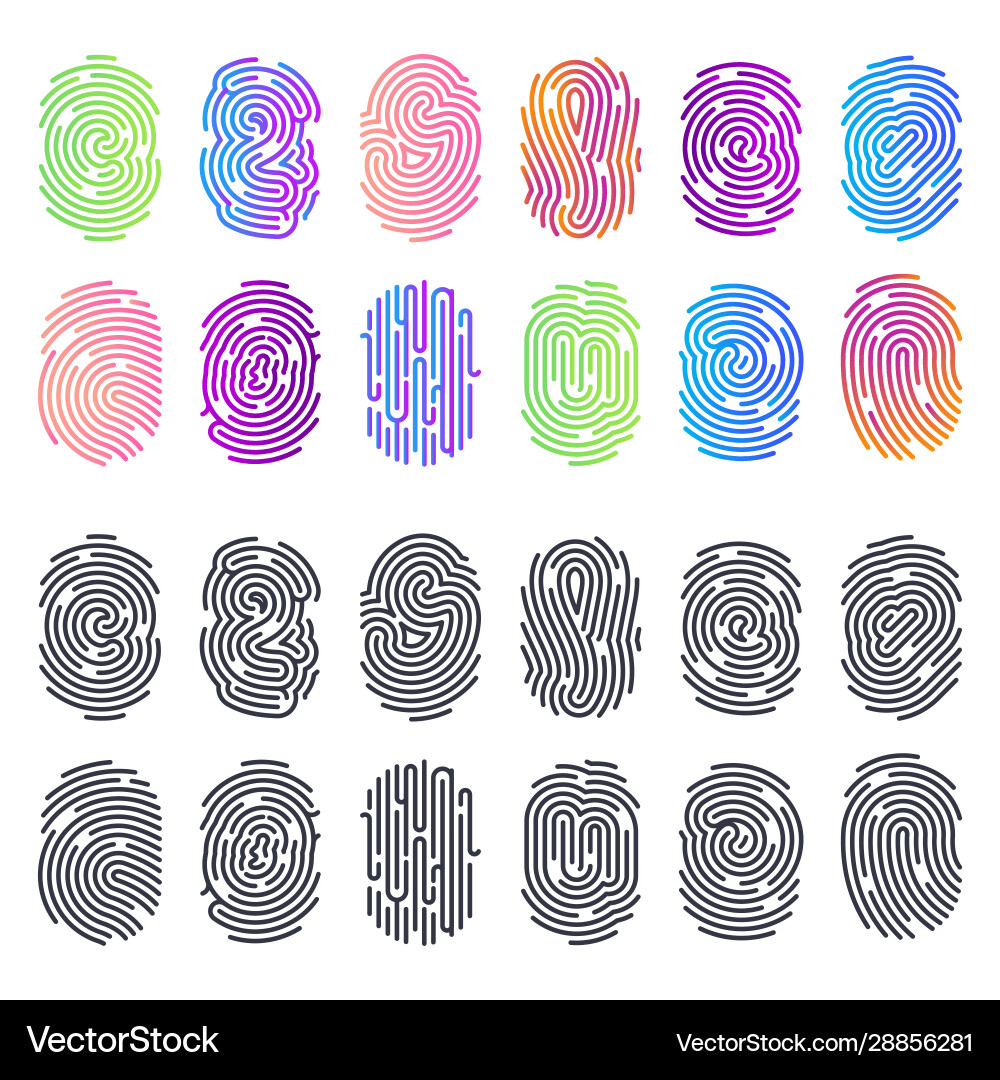 Set isolated black and color fingerprints Vector Image