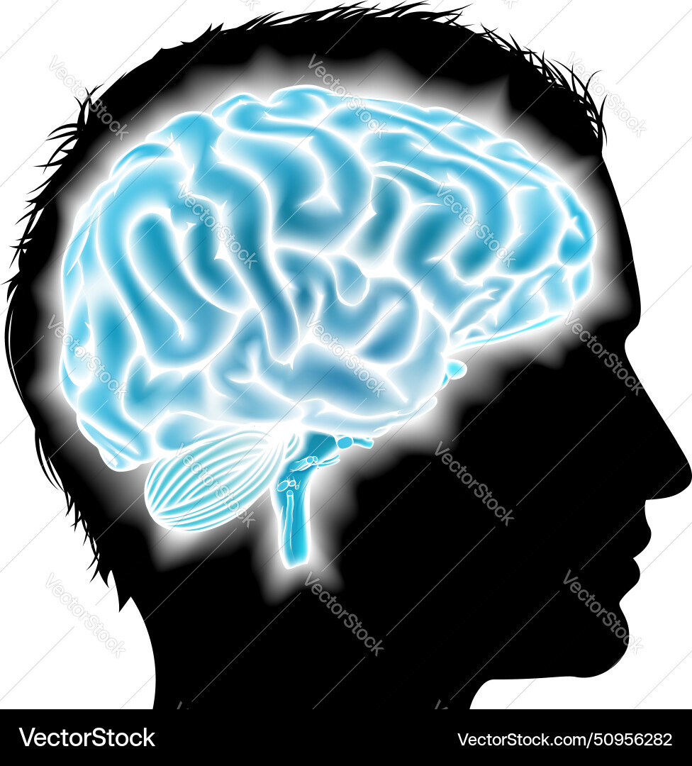 Man glowing brain concept Royalty Free Vector Image