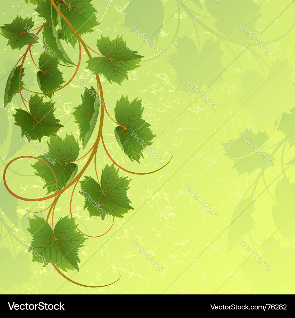 Vine Royalty Free Vector Image - VectorStock