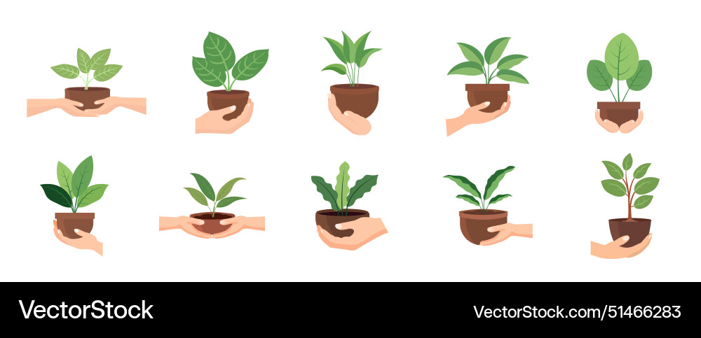 Hand holding plant set Royalty Free Vector Image