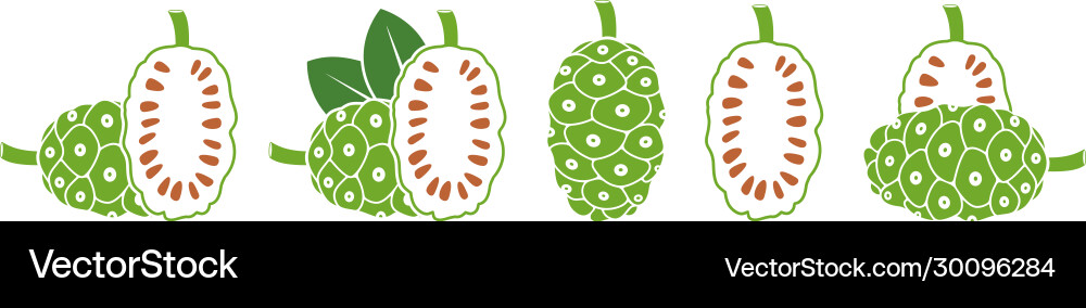 Noni logo Royalty Free Vector Image - VectorStock