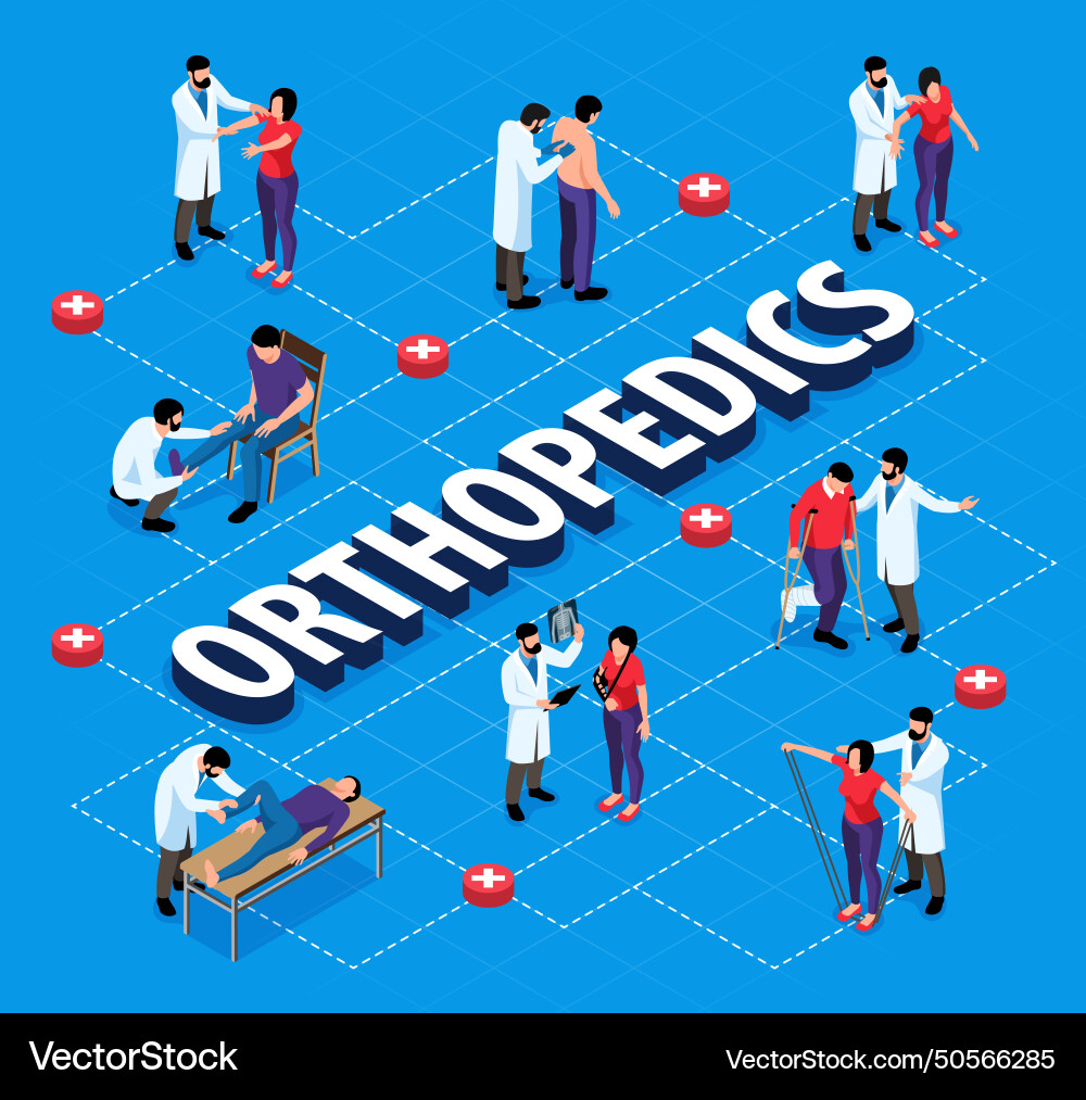 Orthopedics isometric flowchart Royalty Free Vector Image