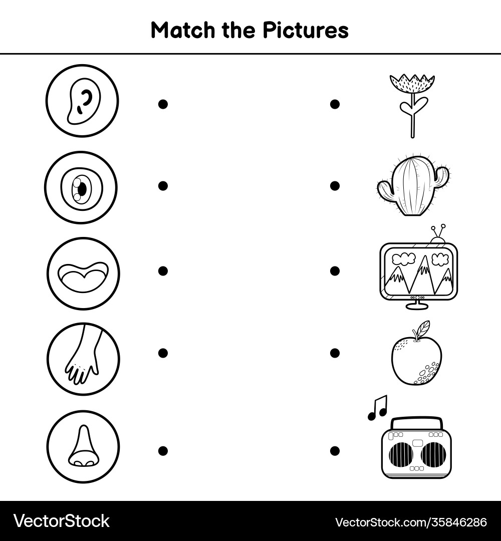 Five senses matching game for kids match Vector Image
