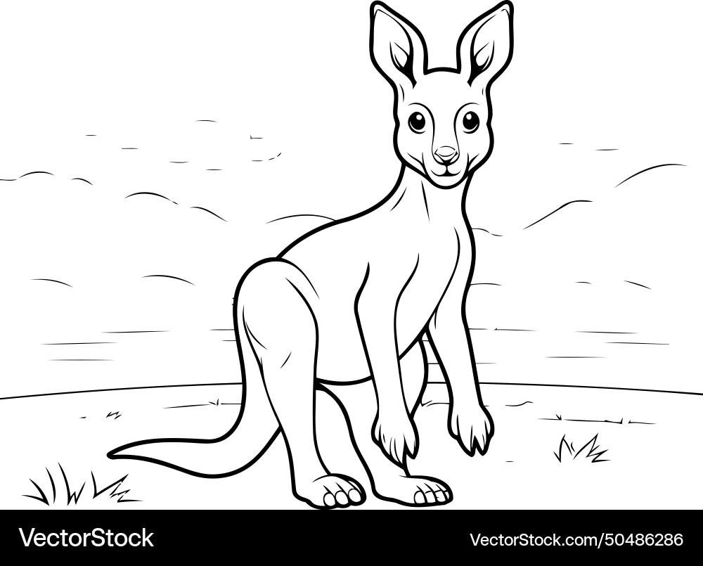 Kangaroo hand drawn sketch Royalty Free Vector Image