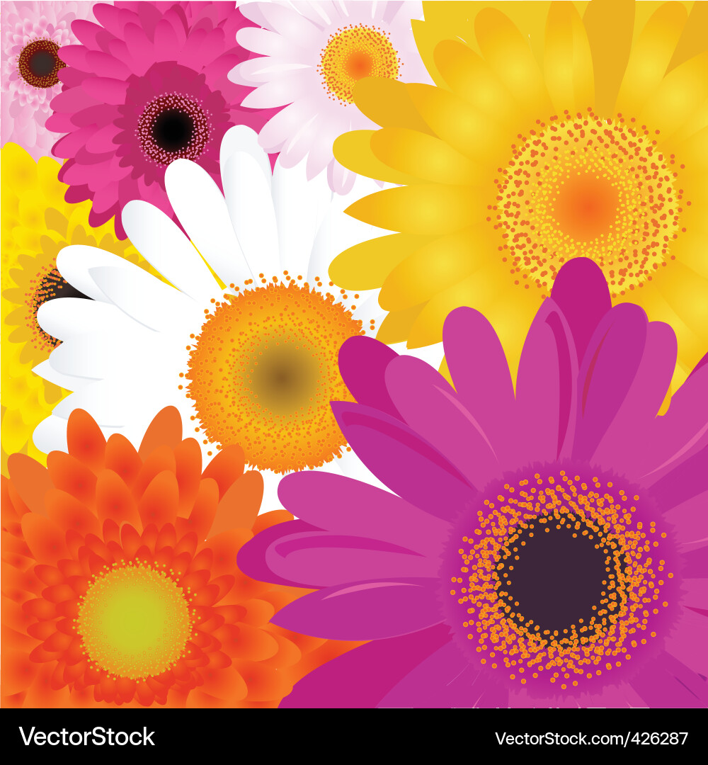 Bright flowers Royalty Free Vector Image - VectorStock