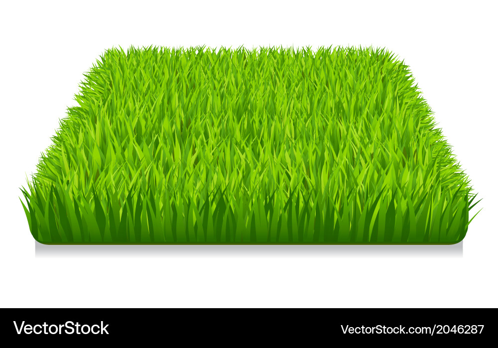 Green grass Royalty Free Vector Image - VectorStock