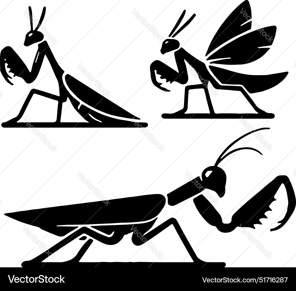 Mantis silhouette set Royalty Free Vector Image